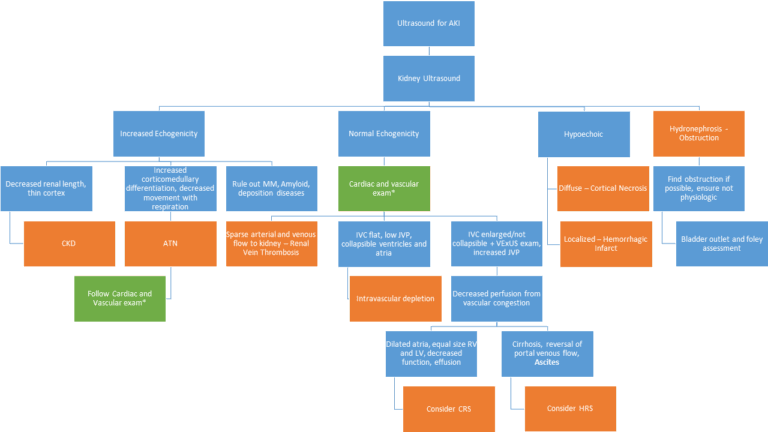 Ultrasonography in Acute Kidney Injury - POCUS Journal