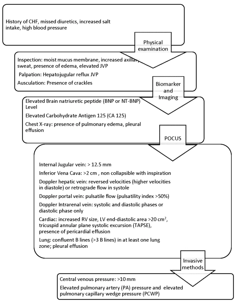 Hepatojugular Reflux Test Procedure