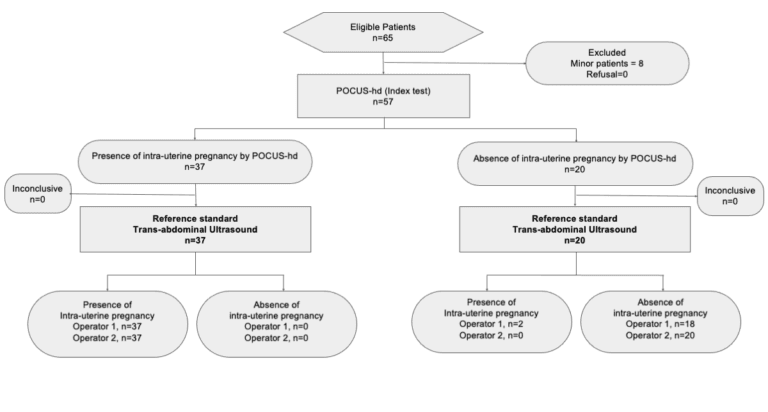 Intrauterine Pregnancy Detection and Gestational Age Assessment During ...