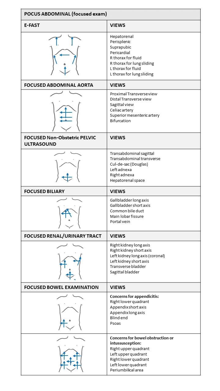Diagnostic Accuracy of Abdominal Point of Care Ultrasound in Primary Care: Study Design and ...