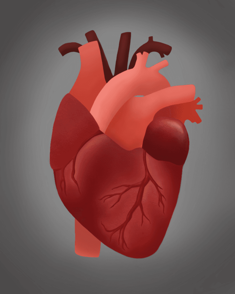 Acknowledgments - POCUS Journal