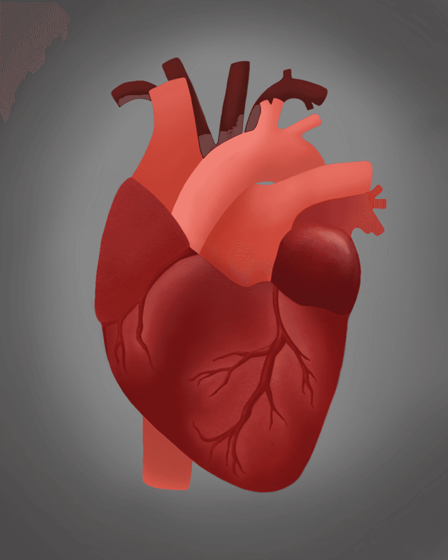 Acknowledgments - POCUS Journal